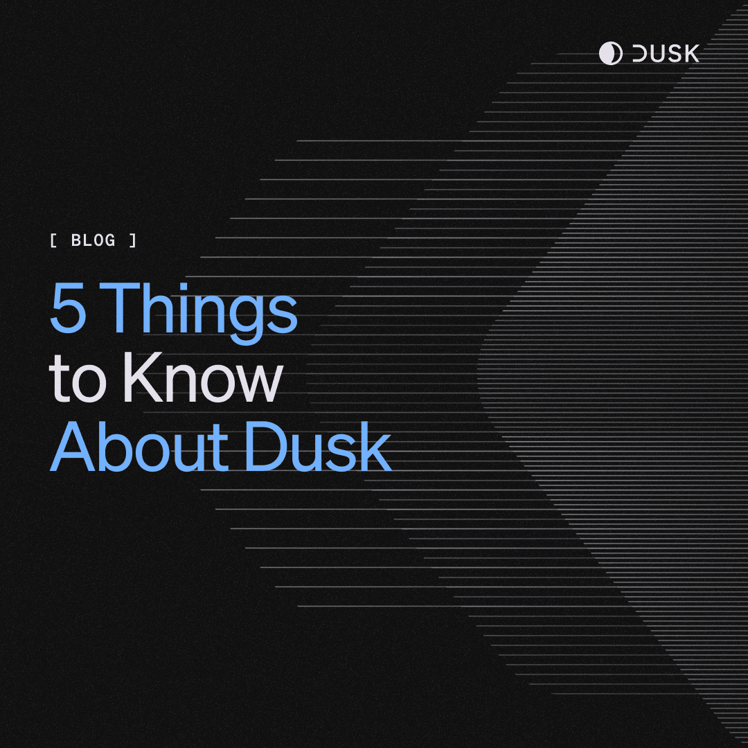Get to Know Dusk: 5 Key Things Worth Knowing • Dusk